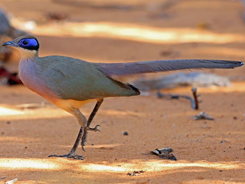 Madagascar Destination - Boriziny Port-Bergé
